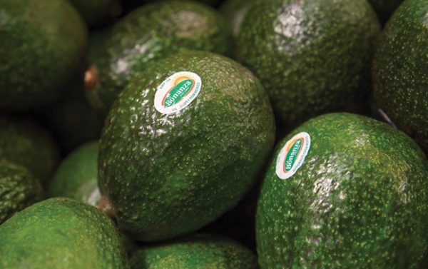 News_EN – La Bonanza